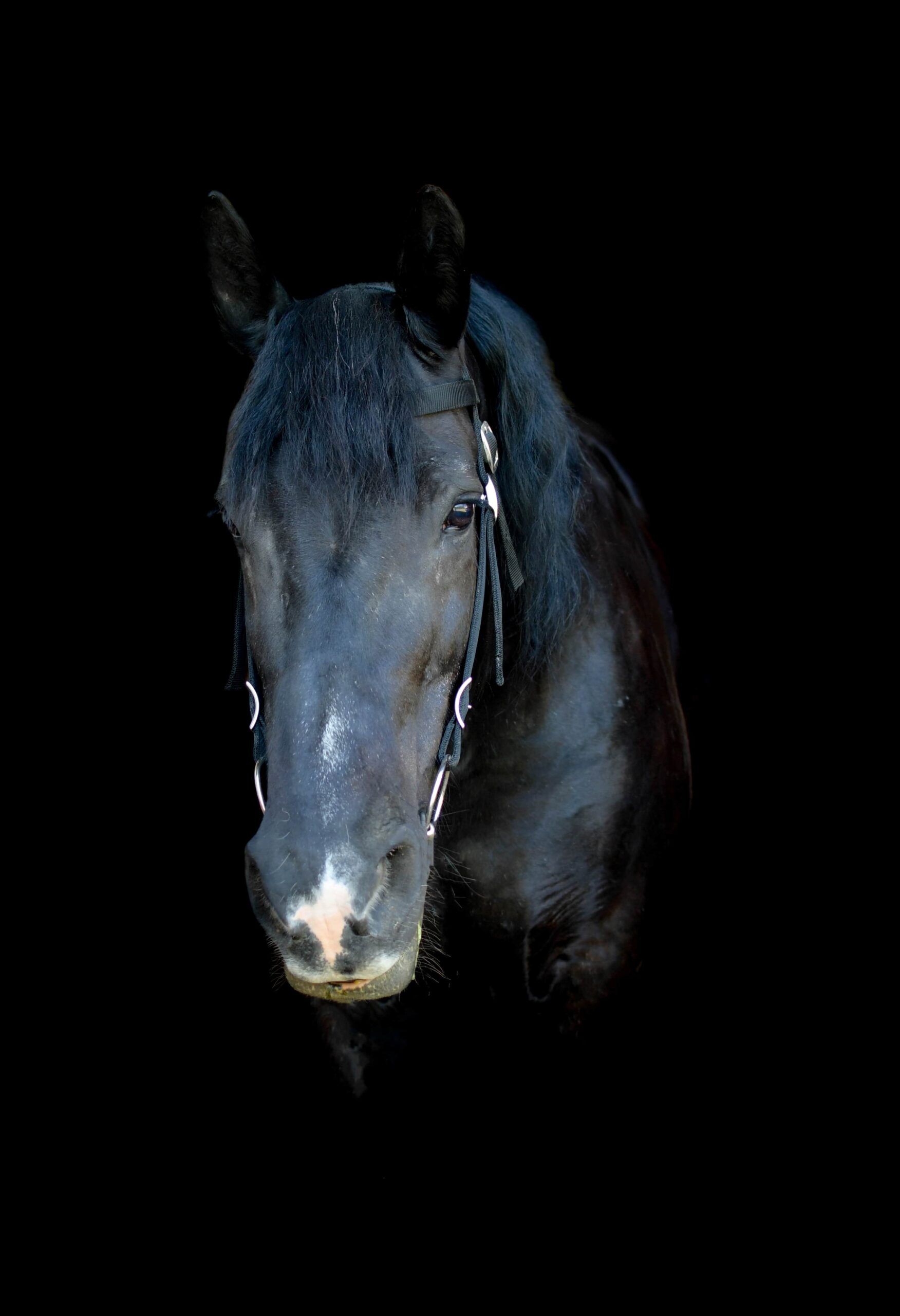 ROO - CTR Changing Lives